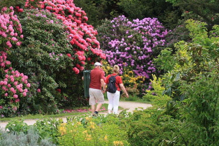 Plan Your Visit - Ushaw: Historic House, Chapels & Gardens
