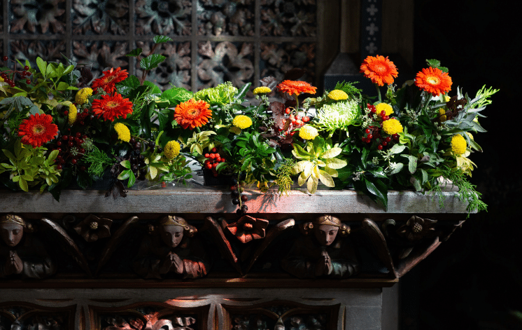 What's On at Ushaw - Ushaw: Historic House, Chapels & Gardens