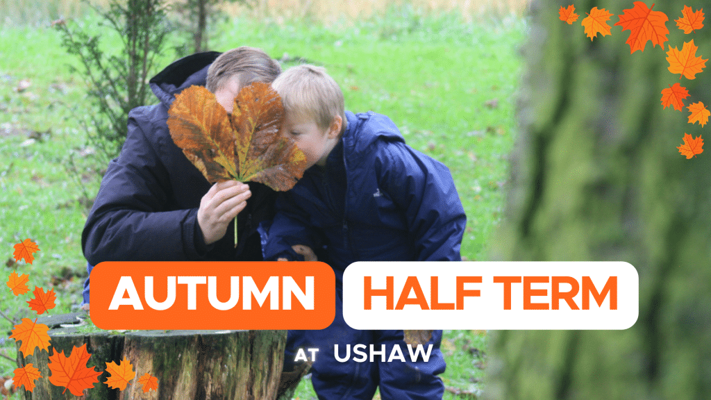 Autumn Half Term - Ushaw: Historic House, Chapels & Gardens